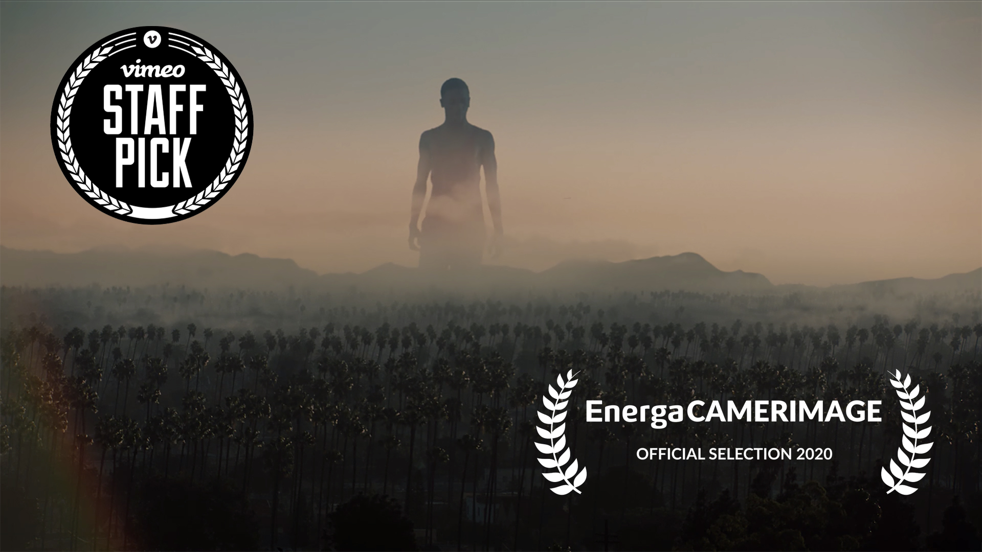 Christopher Ripley — Cinematographer – Christopher Ripley — Cinematographer