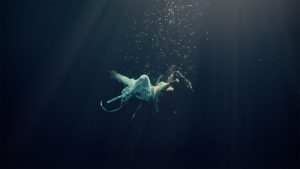 Dakiti – Christopher Ripley — Cinematographer