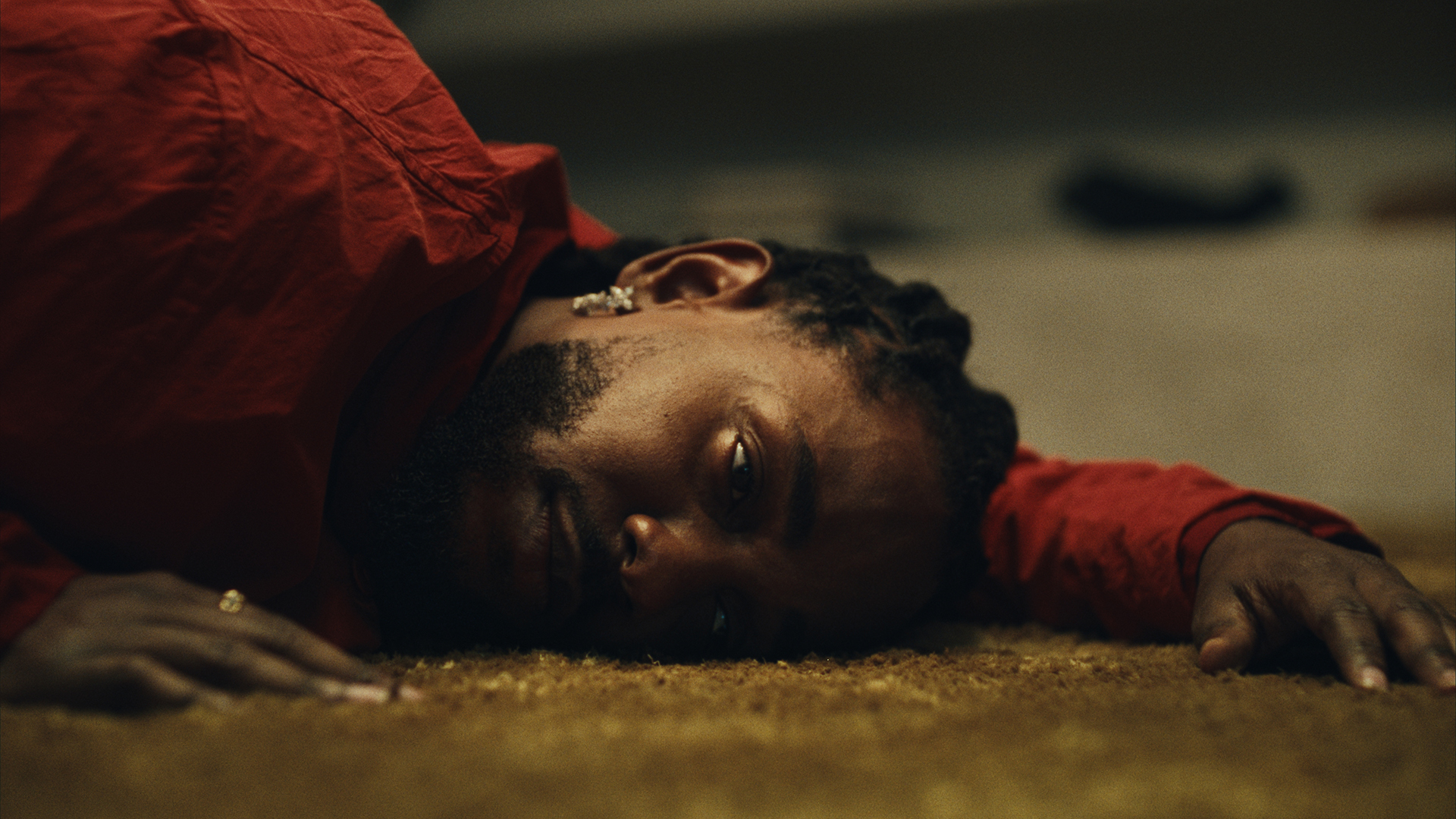 Christopher Ripley — Cinematographer – Christopher Ripley — Cinematographer